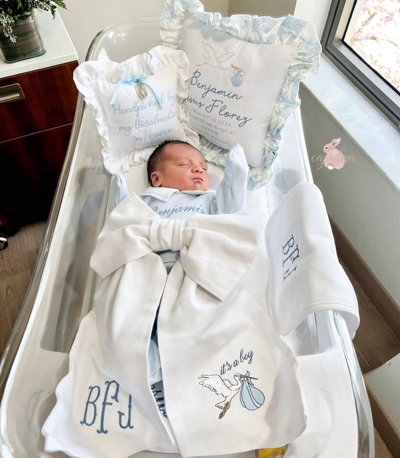 STORK BIRTH STAT PILLOW – Caprilina